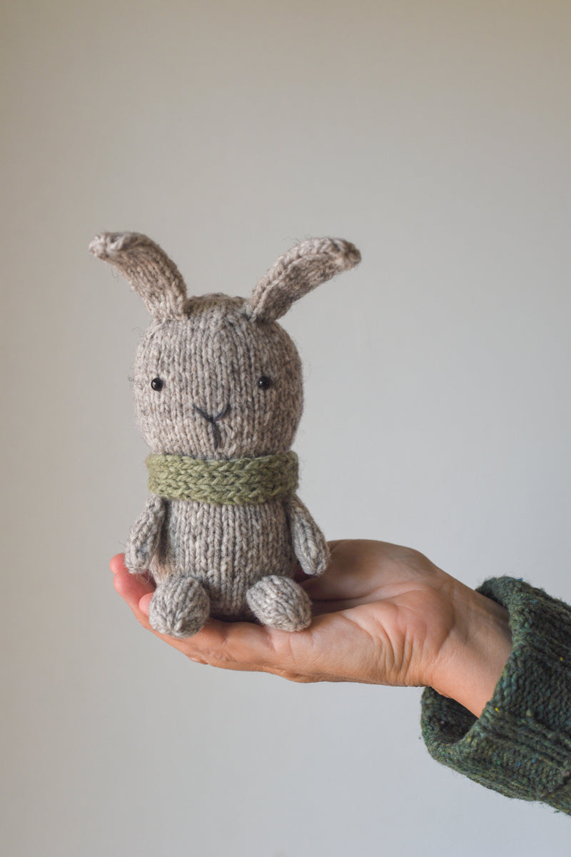 Bunny + Carrot Cozy Pattern – Barrett Wool Co.