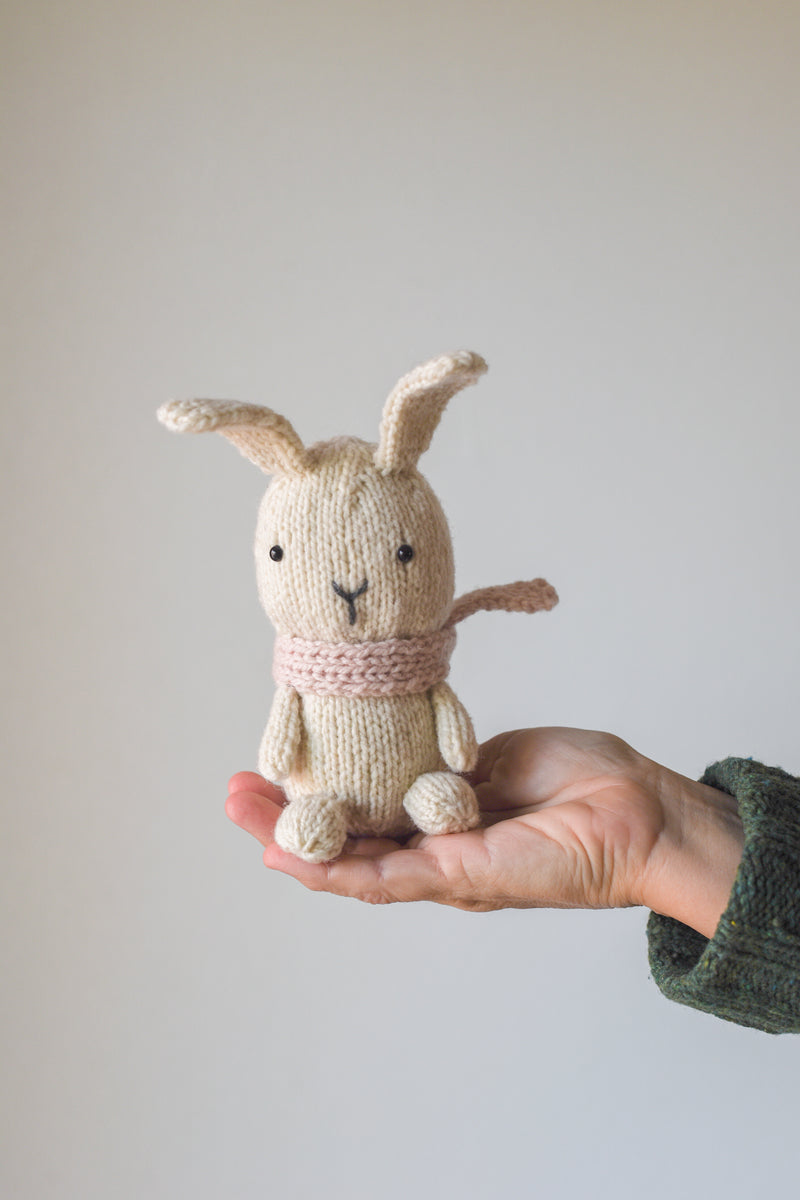 Bunny + Carrot Cozy Kit – Barrett Wool Co.